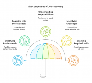 Job Shadowing 101: Definition, Best Practices & Benefits for Teams ...