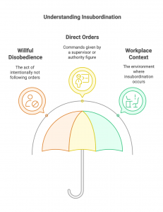 Insubordination at Work: Examples & How to Address It - Pixel Interview