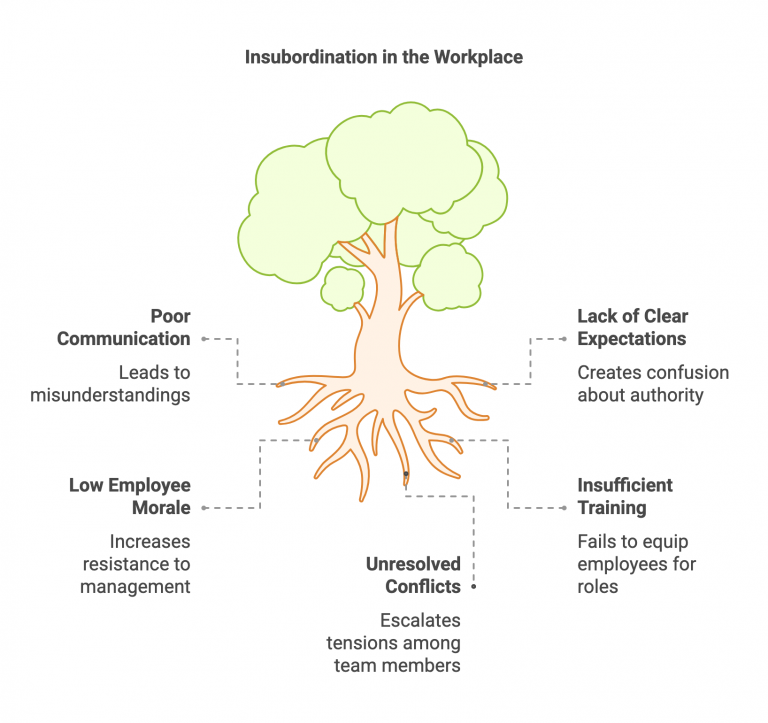 How to Identify and Address Insubordination in the Workplace - Pixel ...